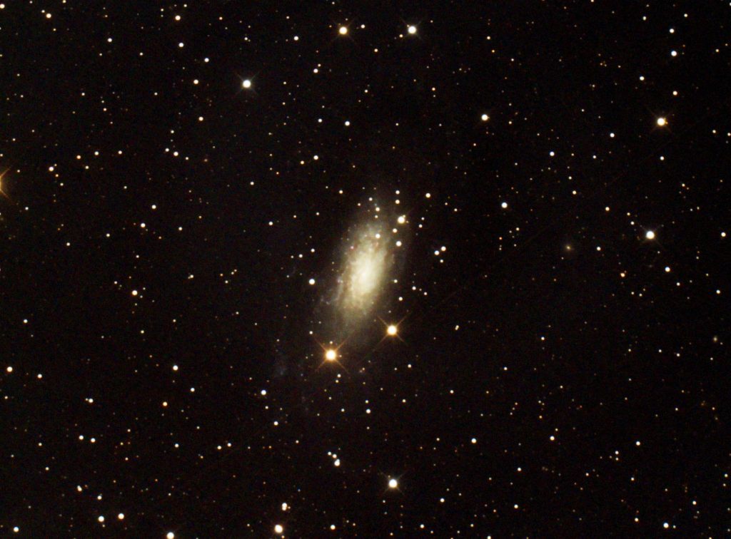 Paramount MYT Robotic Telescope Mount | Astronomy Technology Today